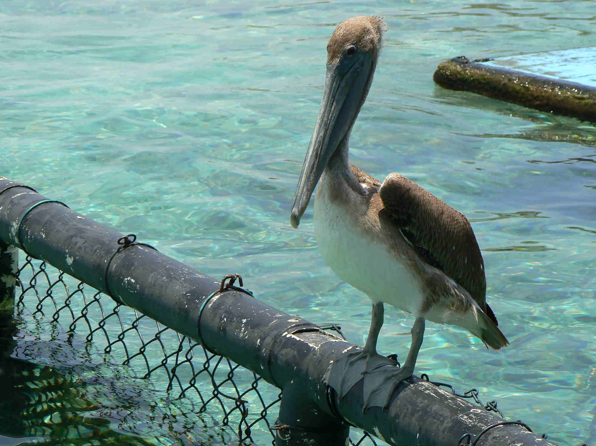 Vacanze mare in Colombia tra Cordillera e Caribe Tayrona
