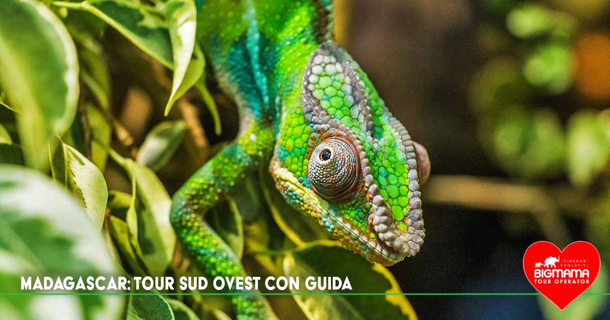 Madagascar viaggio nel sud ovest con guida in italiano