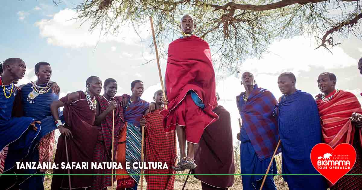 Safari Tanzania con guida e veicoli privati